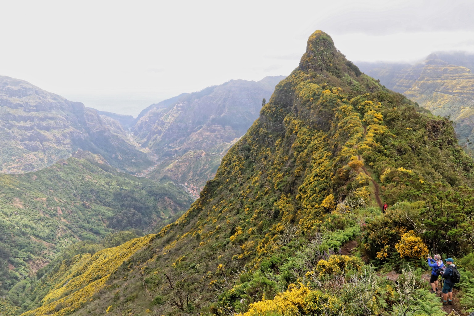 Nature XXL à Madère – Ice-Altitude